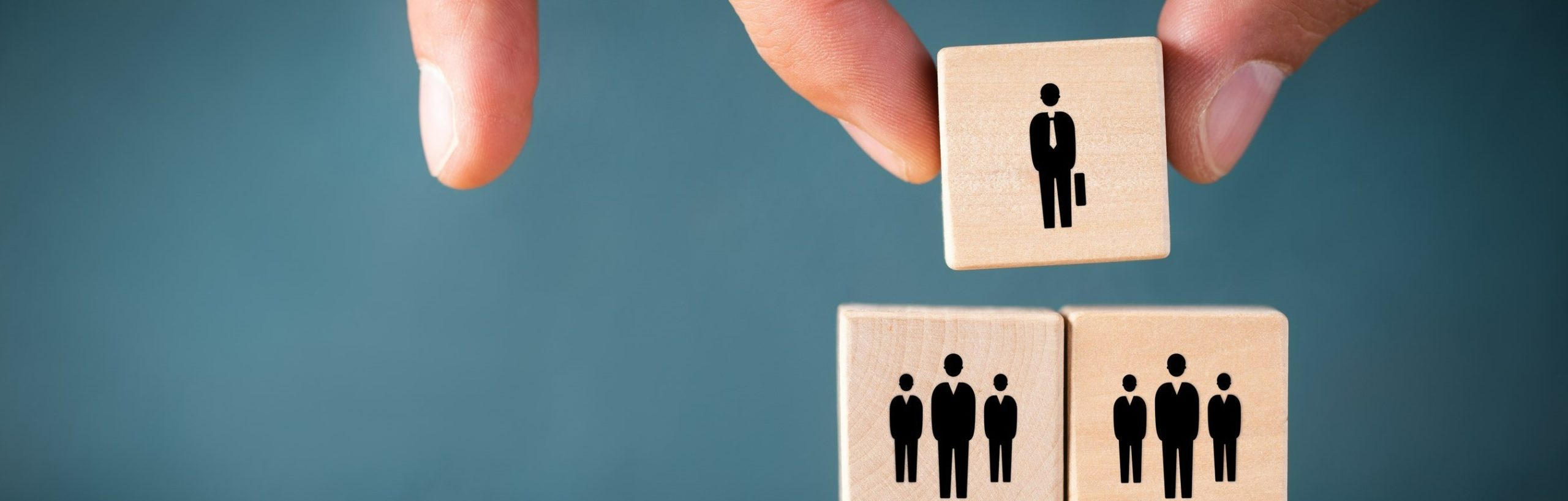 Management Structural Change