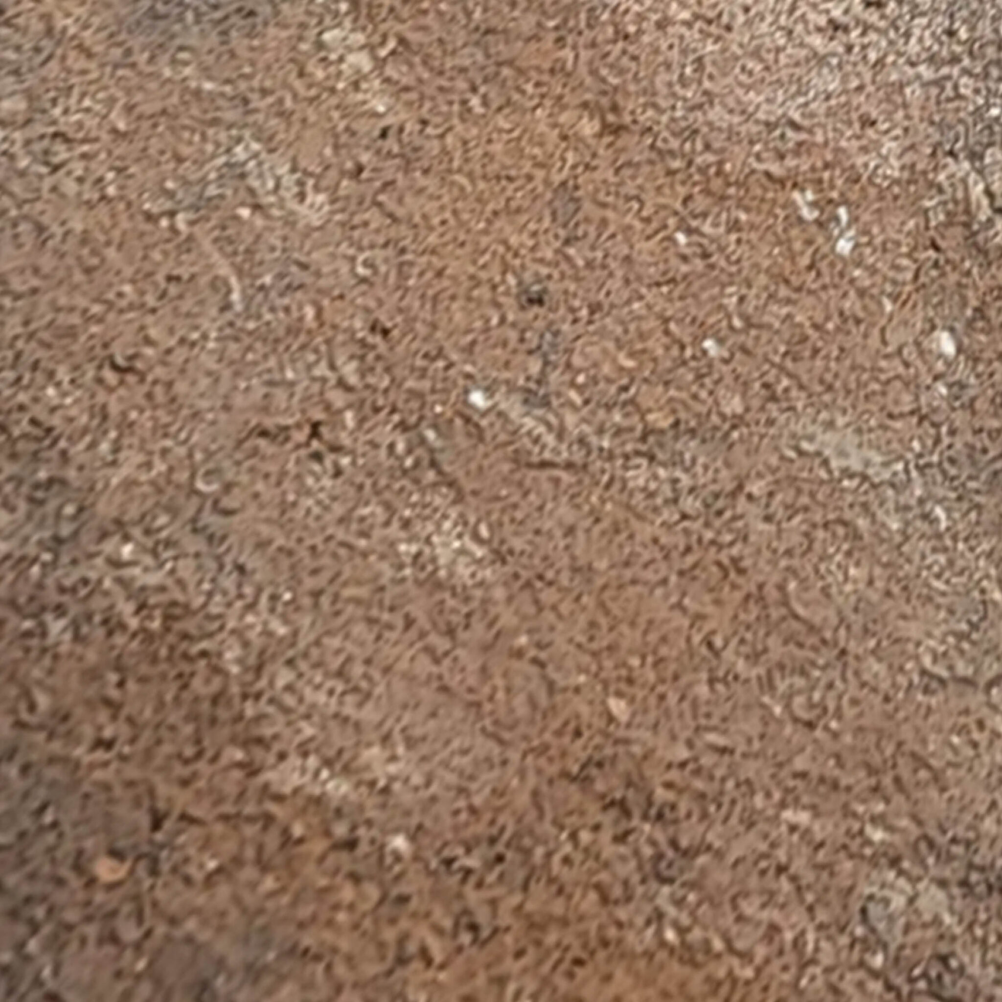 Inish | 200x50 | 80mm Thick - Hardscape | Commercial Stone & Paving